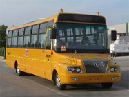 Dali 9.8m pupil school bus(25-43seats)